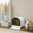 PawHut Cat Litter Box with Lid with Scoop and Filter, White - Walmart.com