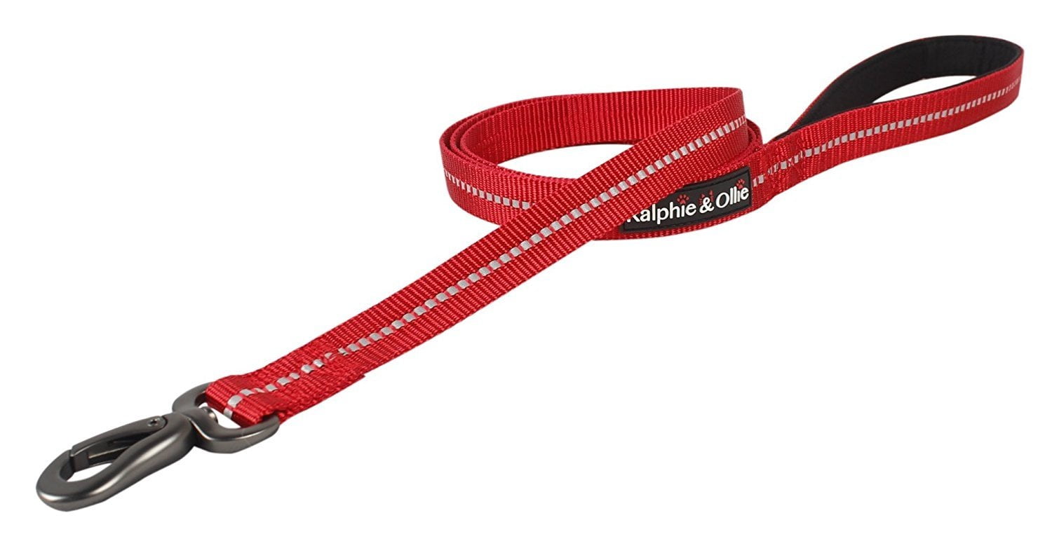 Ralphie & Ollie Heavy Duty Dog Leash by Reflective Strips for Pets ...