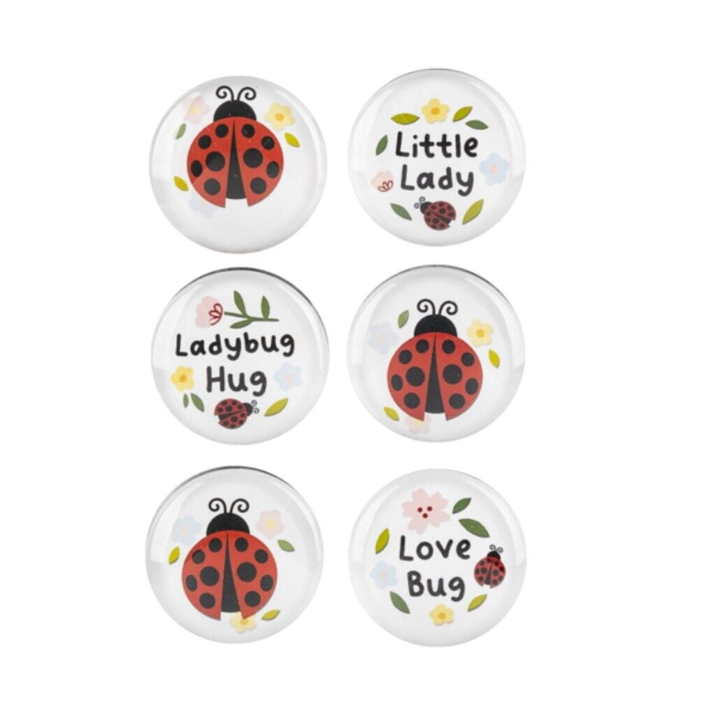 Ganz Ladybug and Text White Magnets 6 Piece Set - Walmart.com