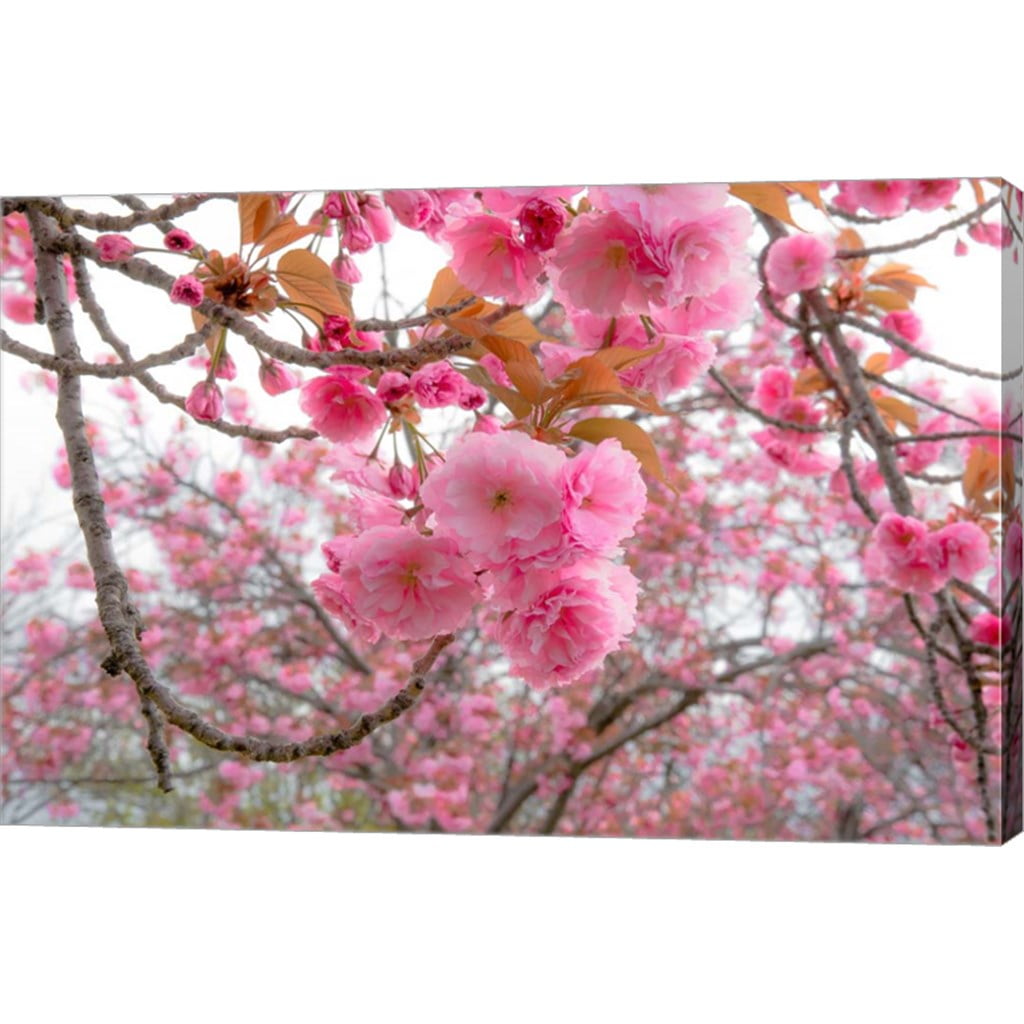 Great Art Now Spiritual Switch 2 by Pat DeLuca, Canvas Wall Art, 24W x ...