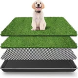 Mini Organic Pet Grass Kit - Grow Wheatgrass for Pets: Dog, Cat, Bird ...