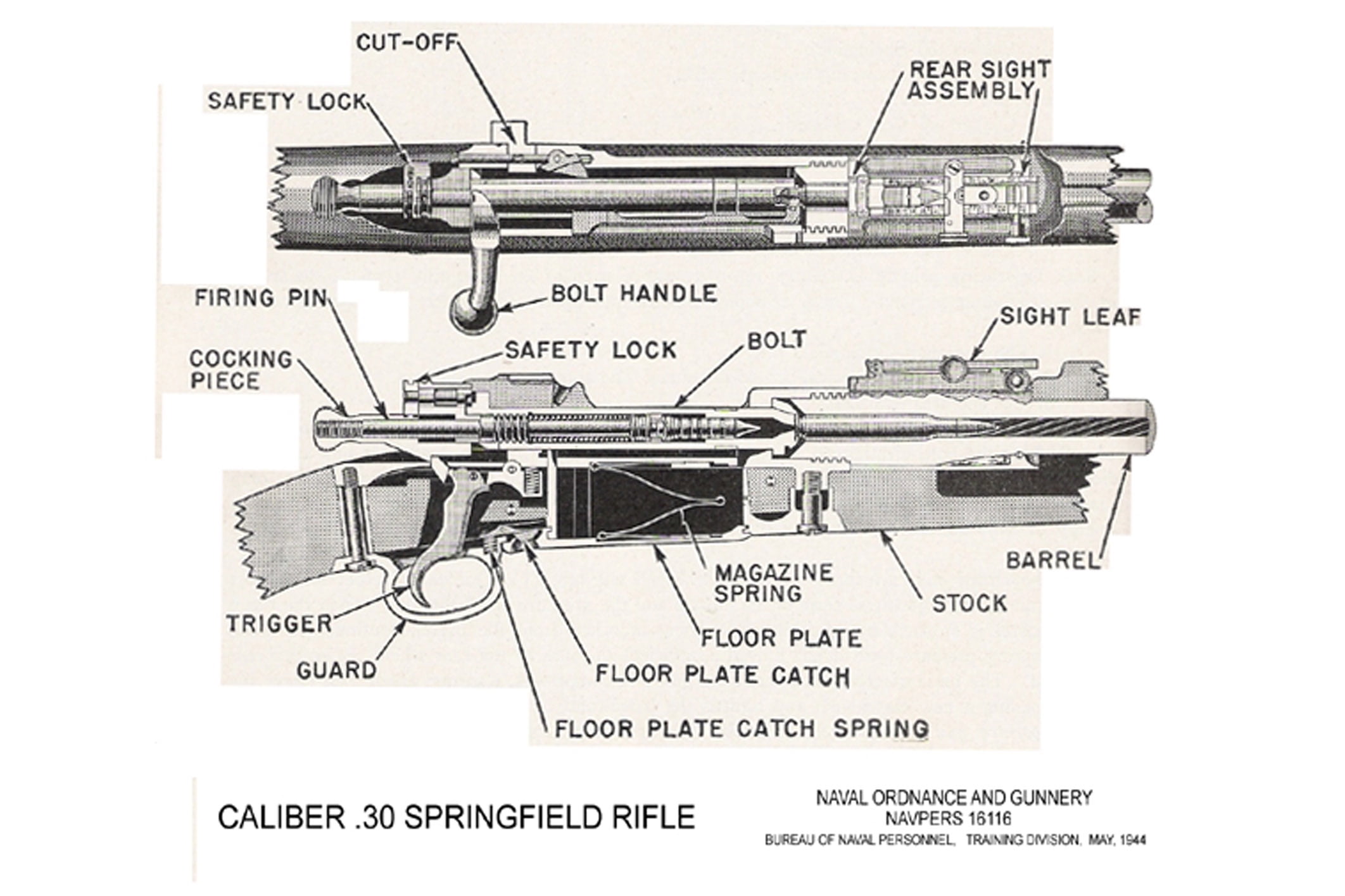 24x36 gallery poster, Diagram of the .30 1903 Springfield rifle ...