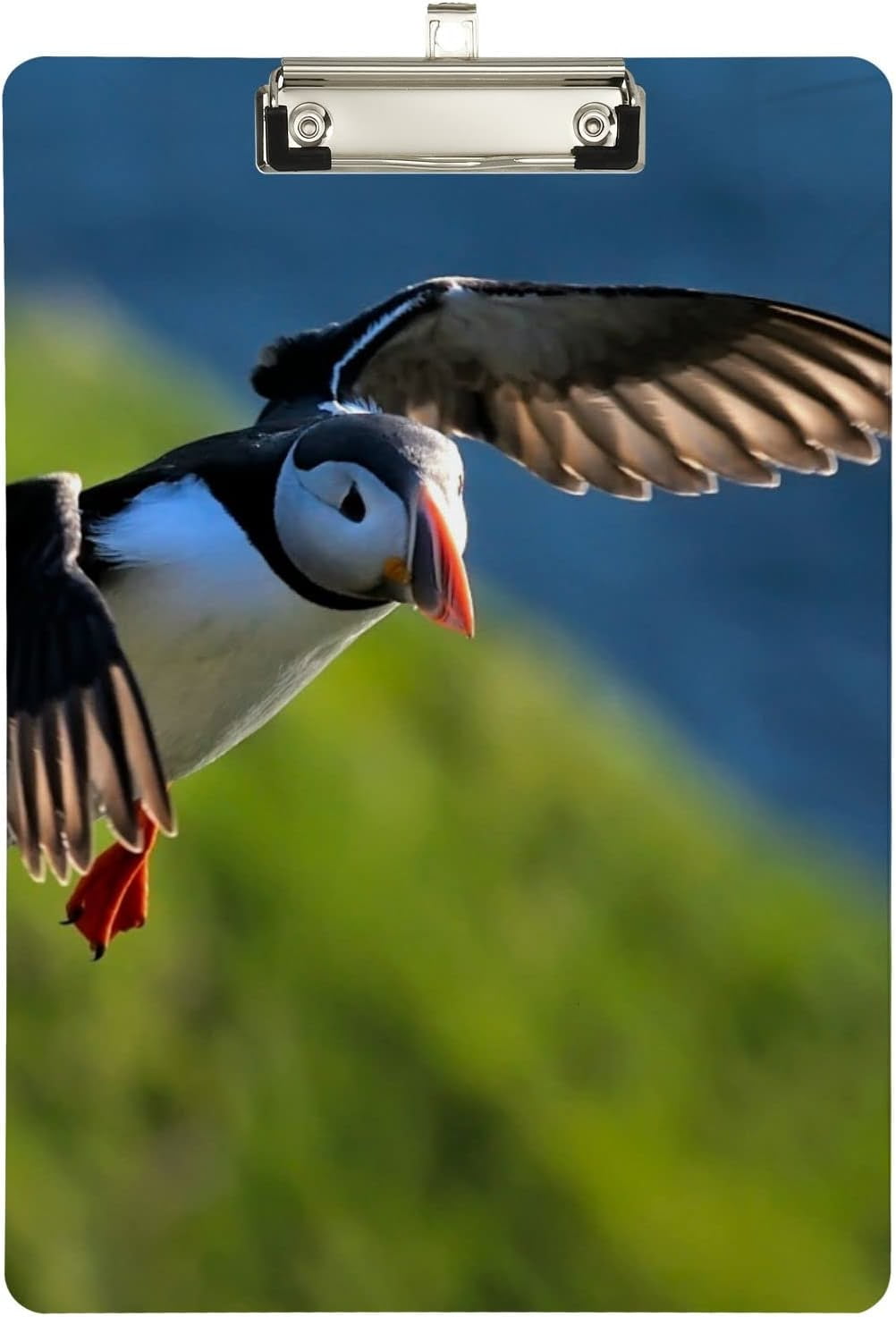 FMSHPON Flying Puffin Clipboard Hardboard Wood Nursing Clip Board and ...