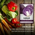 Red Acre Cabbage Seeds - Walmart.com