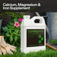 VIVOSUN Cal+Mag+Iron (2-0-0), Calcium, Magnesium & Iron Supplement ...