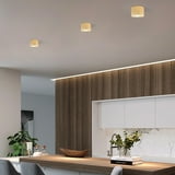 Sunjoy Tech LED Downlight High Brightness Wood Grain Low-Power ...