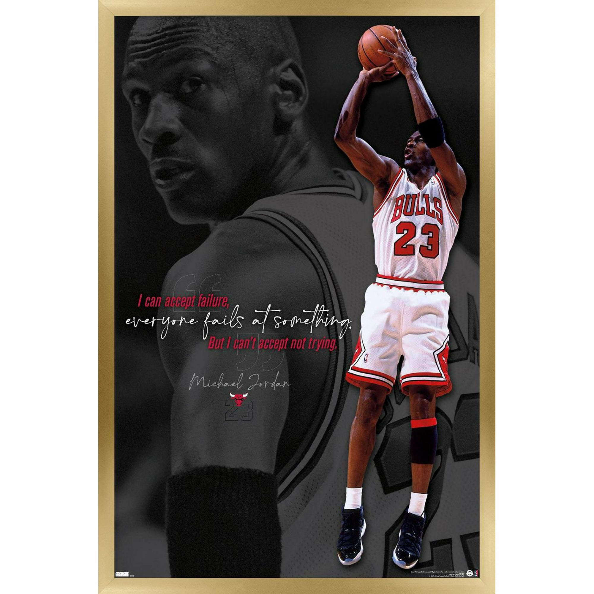Click here for Trends International Michael Jordan - Cant Accept... prices