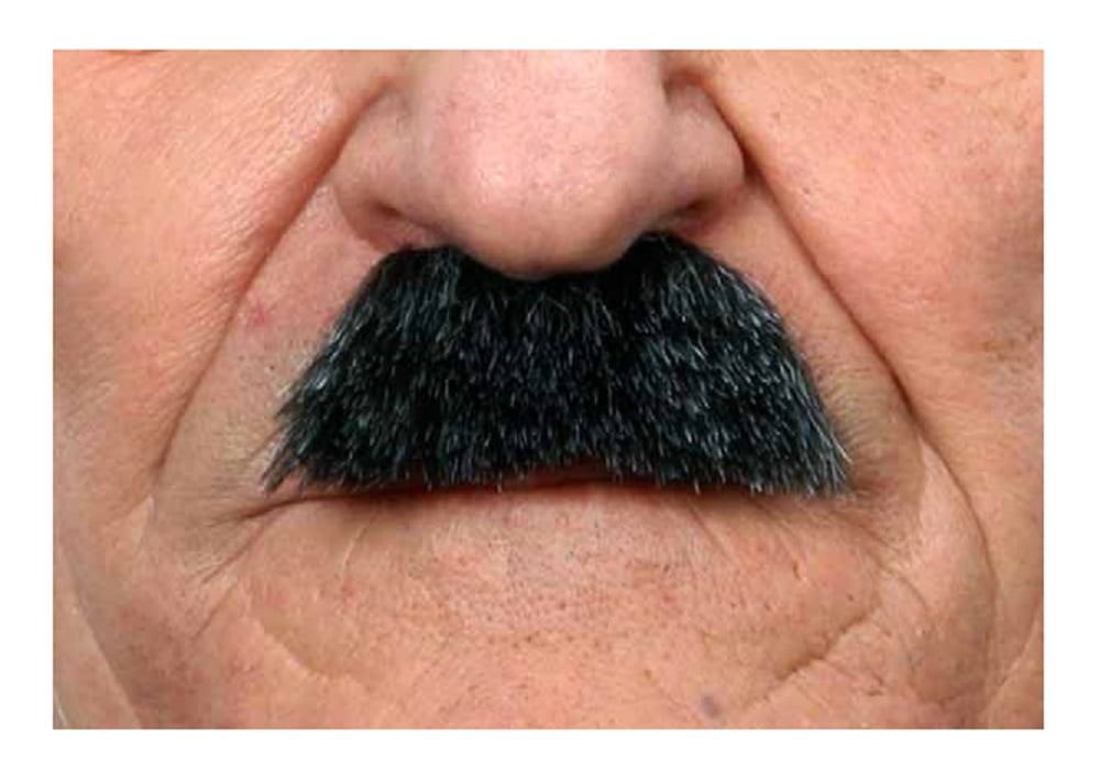 Grey Black Charlie Chaplin toothbrush Mustache Self Adhesive Facial ...