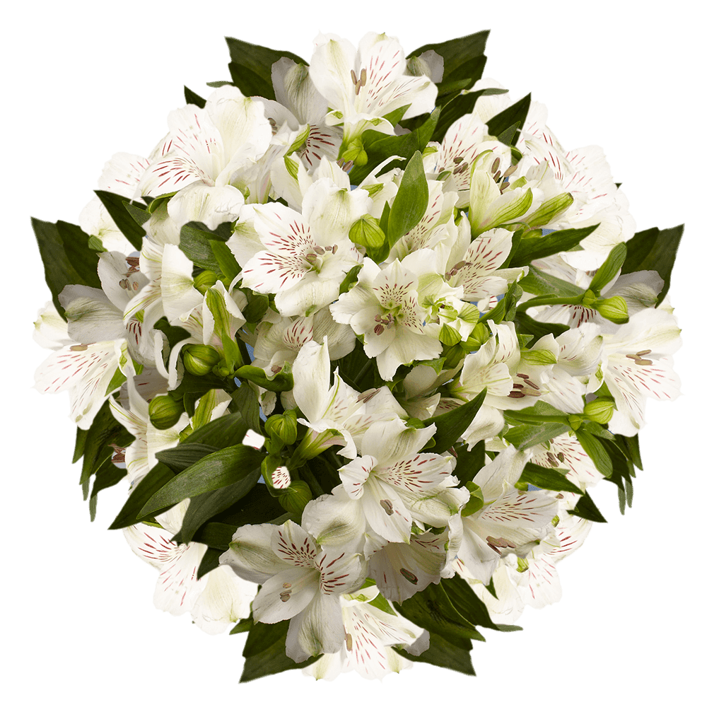 White And Pink Alstroemeria Bouquet