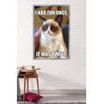 Grumpy Cat - Fun Wall Poster, 22.375" x 34", Framed - Walmart.com