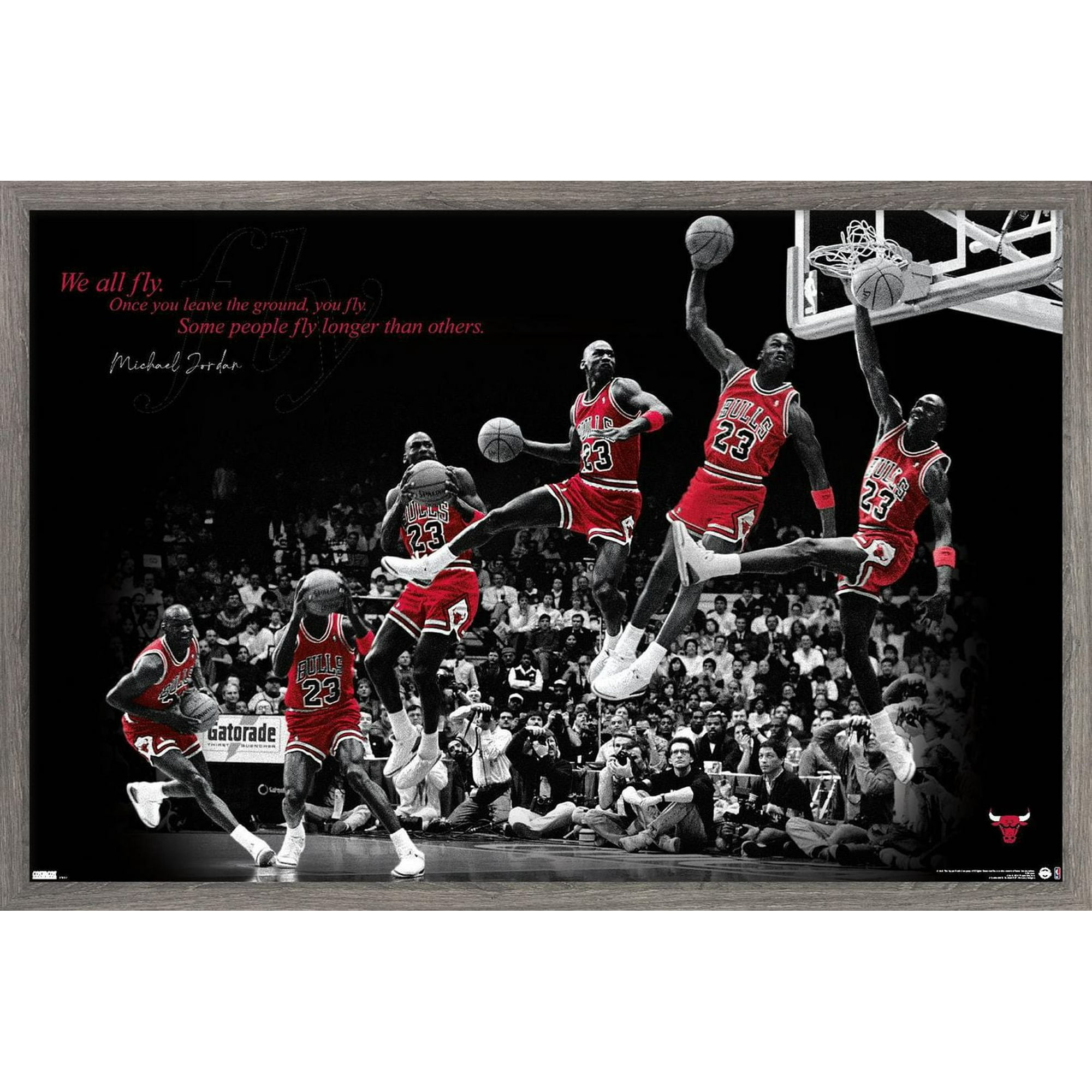 Click here for Trends International Michael Jordan - Fly Wall Pos... prices