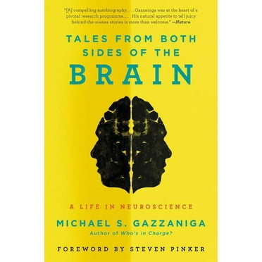 When Brains Dream: Understanding the Science and Mystery of Our ...