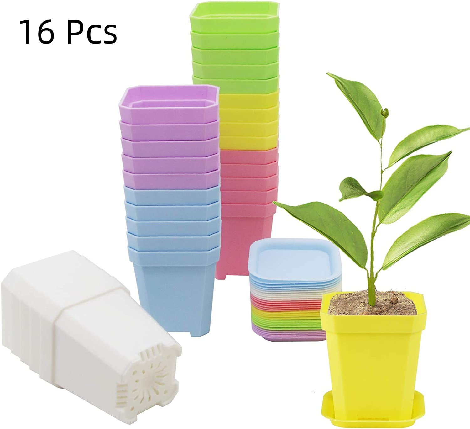 16 Pack Colorful Flower Pots, Happon 3 inch Square Plastic Plant Pots ...