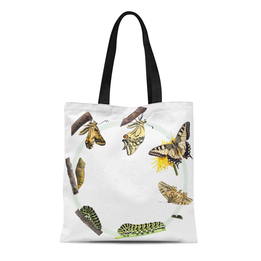SIDONKU Canvas Tote Bag Green Caterpillar Life Cycle of the Swallowtail ...