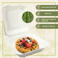 Klex Sugarcane Clamshell Takeout Food Containers, 8-Inch, 3 Compartment ...