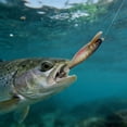 8 Pcs Metal Fish Shaped Fishing Lures, Small Fish Imitation Metal Lure ...