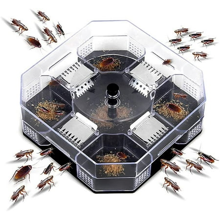 Grillons de piège à cafards, boîte de pièges à cafards utiles, cafards ...