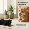 Catnip & Silvervine Chew,1/3/6PCS Creative Fish Bone Cat Dental Chew ...