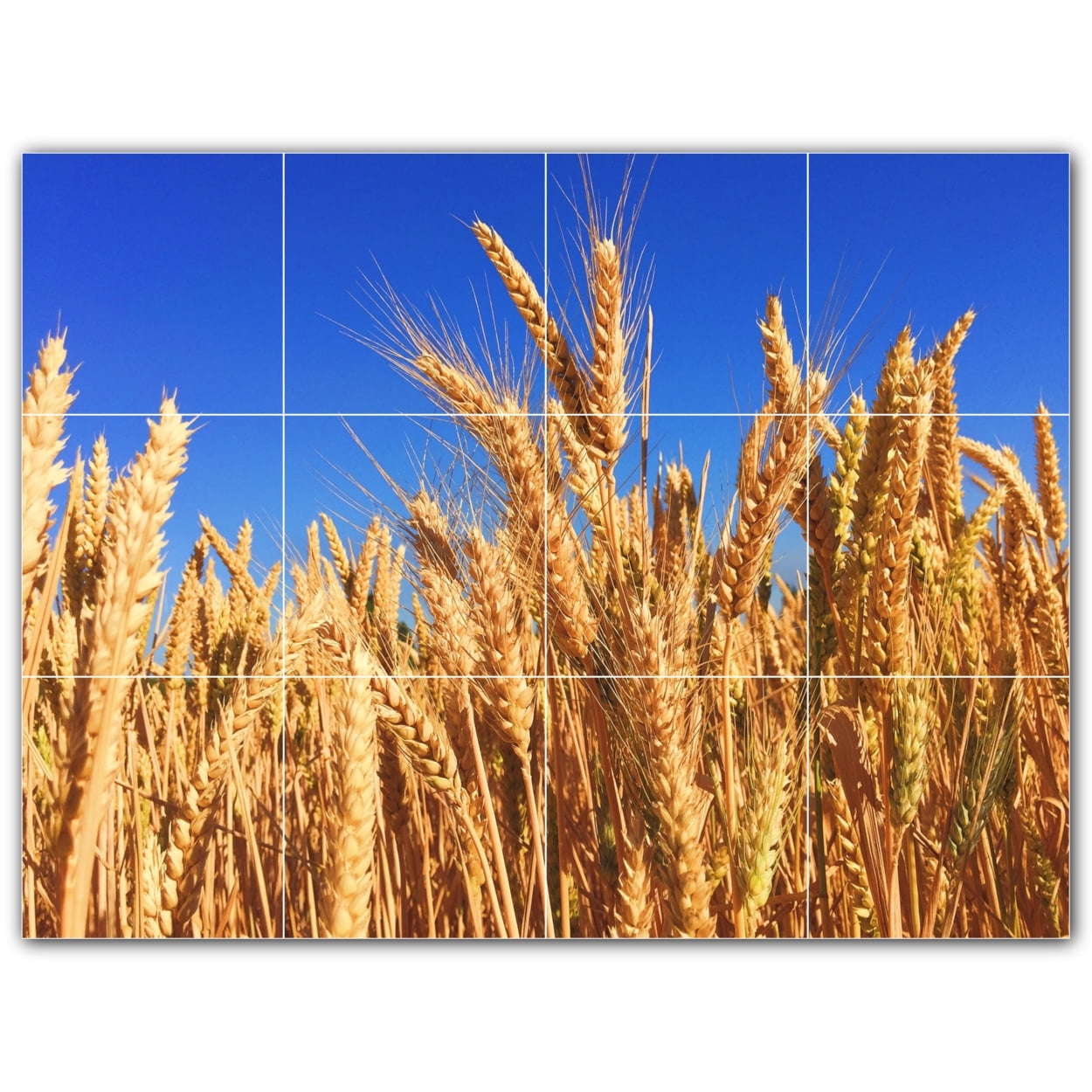 Picture-Tiles.com: Farm Ceramic Tile Wall Mural WAL500584-43M. 24"W x ...