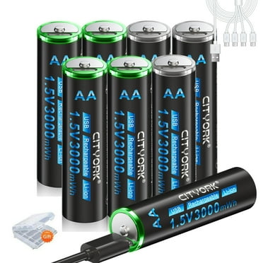 LANKOO USB C Lithium Ion Rechargeable C Battery Fast Charge with Type C ...