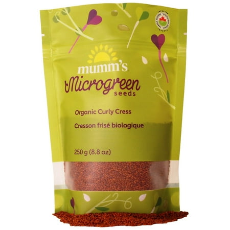 Mumm’s Curly Cress (Garden Cress) Microgreen & Sprouting Seeds | Large ...