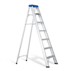 Werner 264 2-Step Type III Aluminum Platform Ladder - Walmart.com