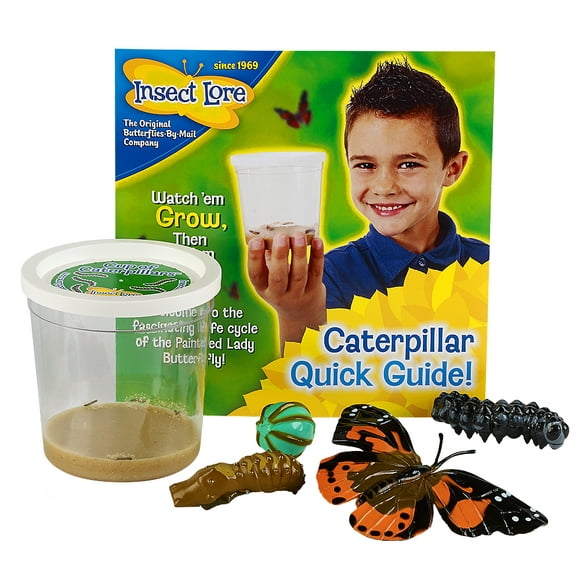 Butterfly Caterpillar Kit