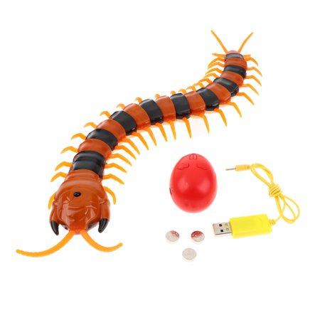 Toy Electric RC Centipede Fake Remote Control Centipede Creative ...