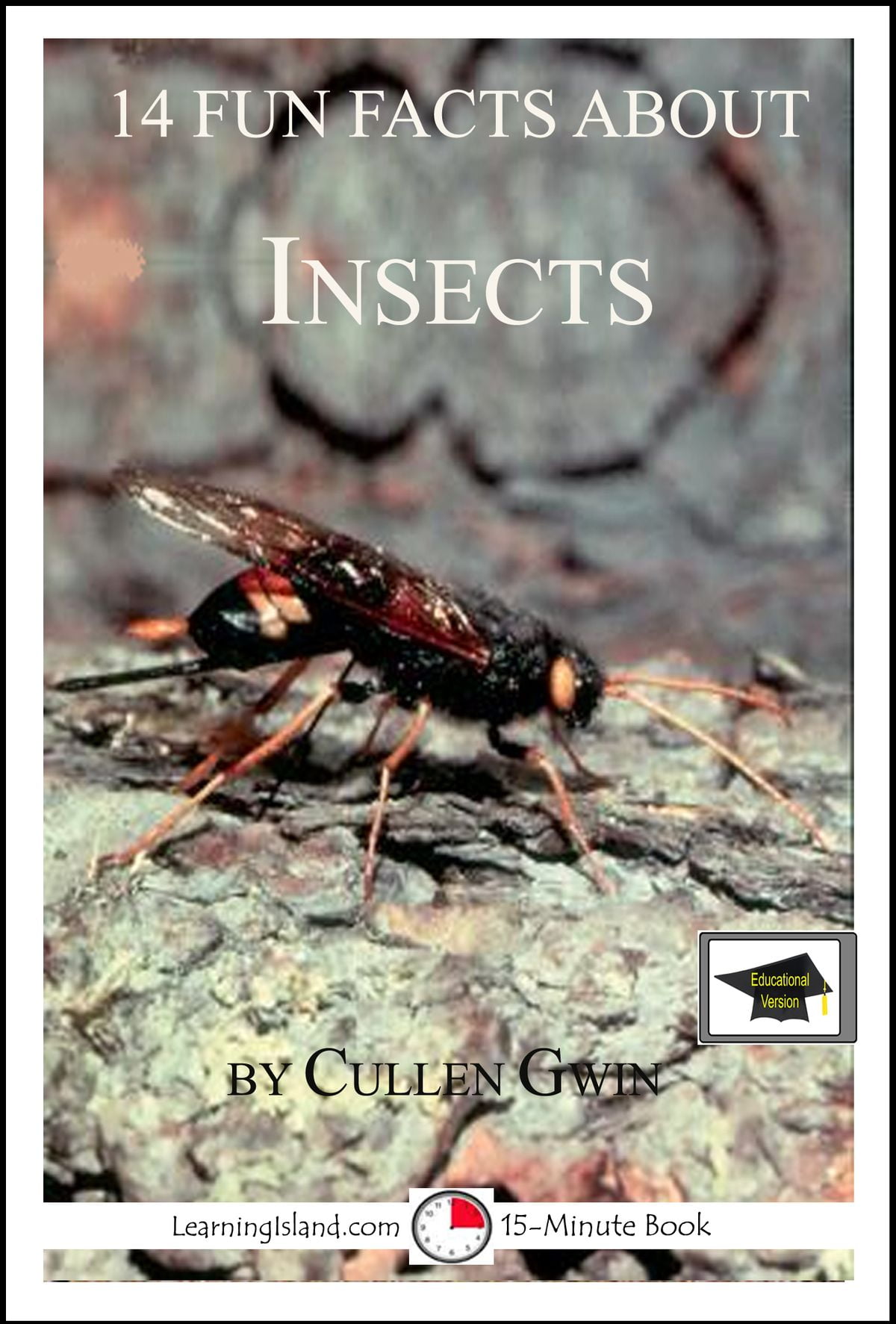 What Are Interesting Facts About Insects at Linda Moulton blog