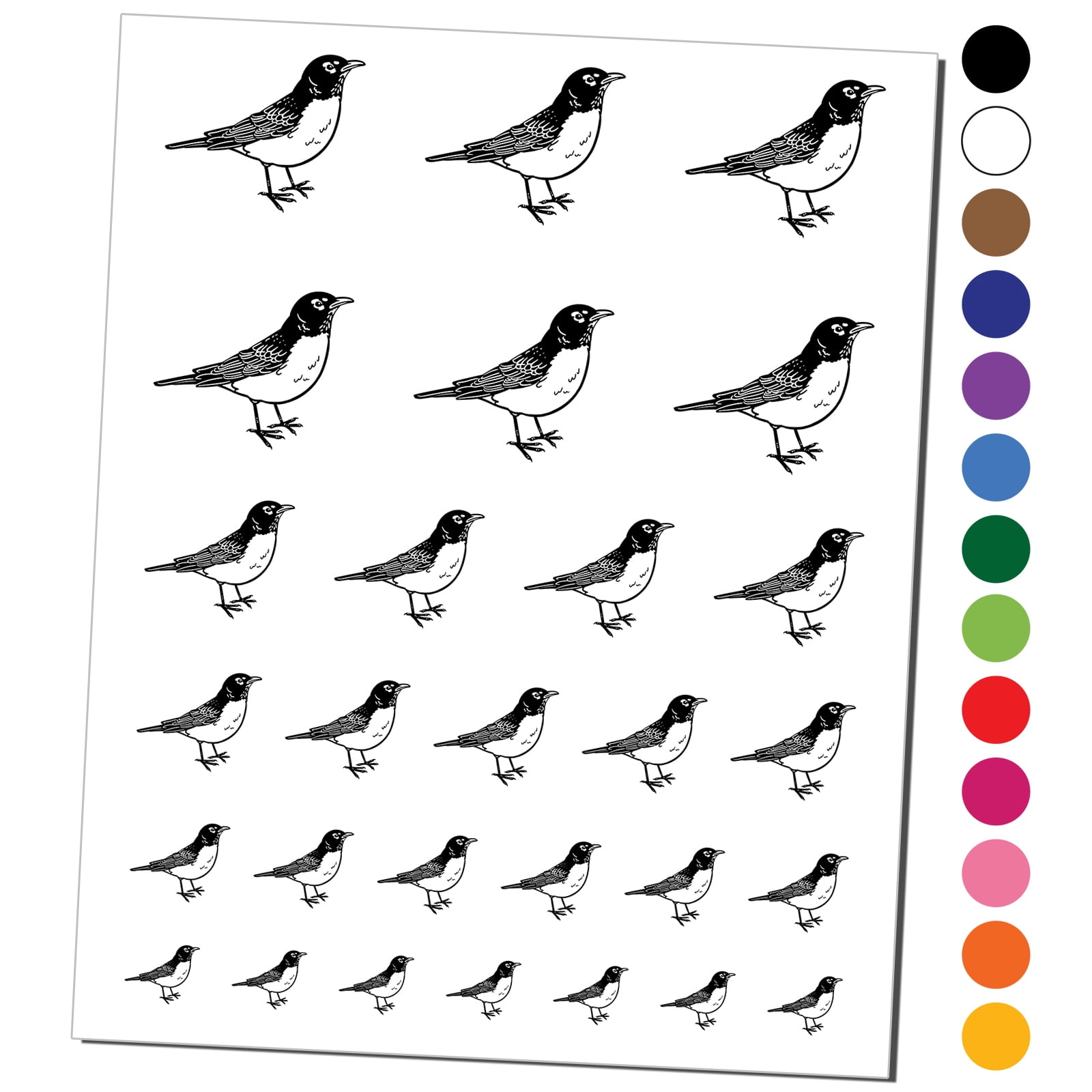 Delightful American Robin Bird Water Resistant Temporary Tattoo Set ...