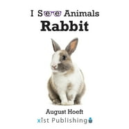 My Friend Rabbit (Board Book) - Walmart.com