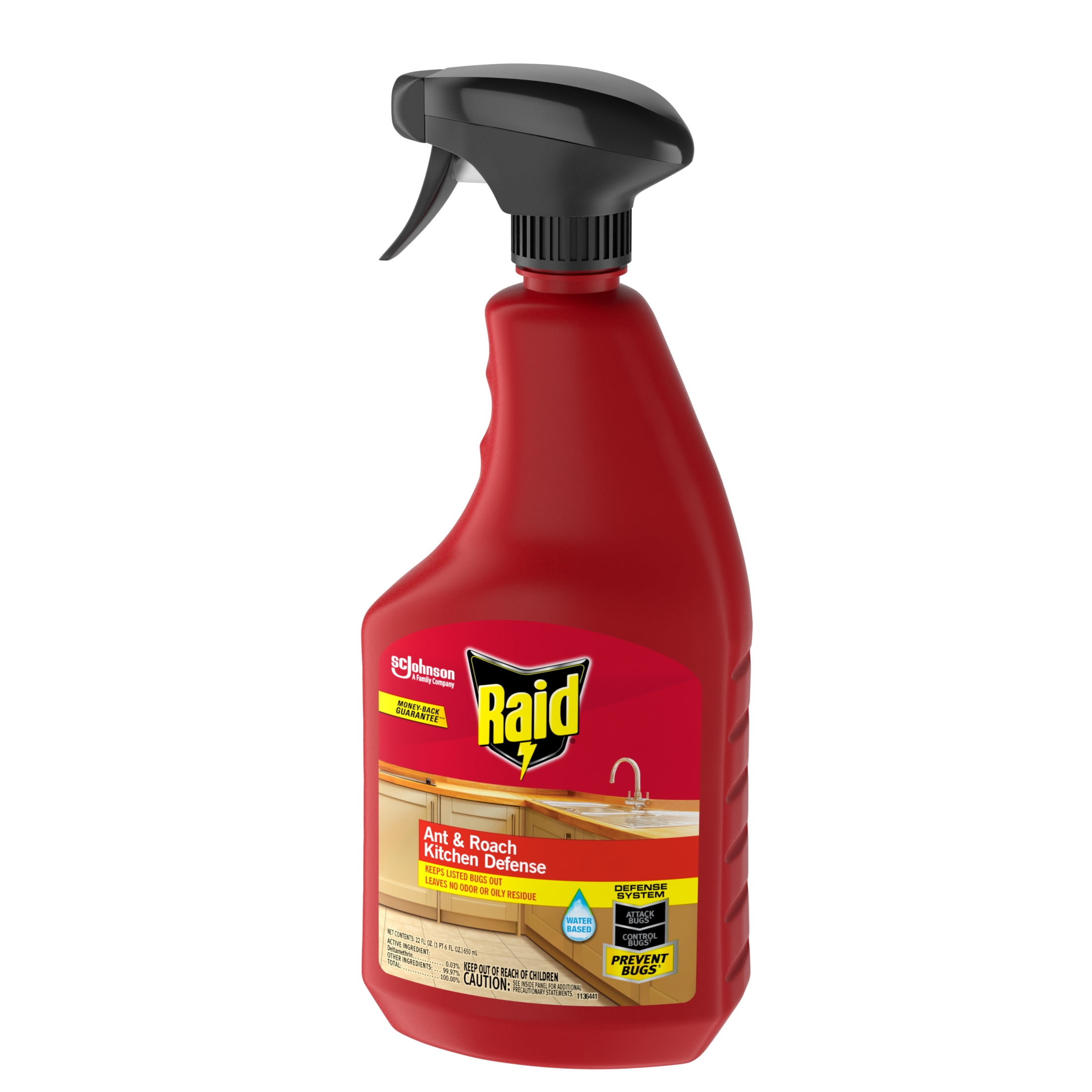 Raid Kitchen Defense Ant and Roach Killer Spray 22 oz Best Deals and ...