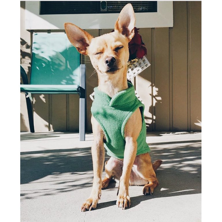 Gooby Fleece Vest Hoodie Dog Sweater - Plum X-Large - Warm Pullover Dog ...