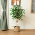 DR.Planzen 5 feet Artificial Ficus Tree, Lifelike Greenery with Natural ...