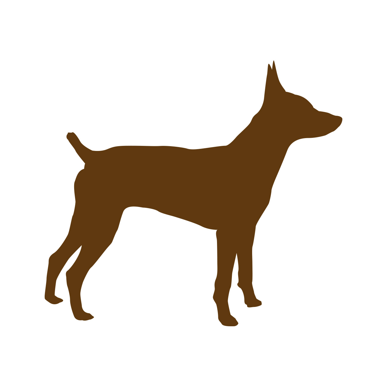 Rat Terrier Sticker Decal Die Cut - Self Adhesive Vinyl - Weatherproof ...