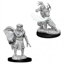 WizKids WZK73390 Male Human Druid W6 Dungeons & Dragons Nolzurs ...