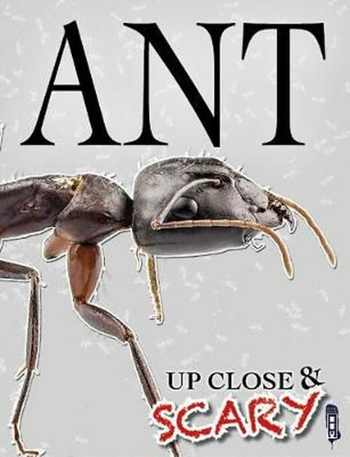Up Close & Scary: Up Close & Scary Ant (Paperback) - Walmart.com