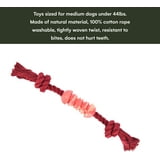 Hubble Bubble Kids' Indestructible Rope Toy for Small Dogs and Puppies ...