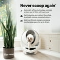 Litter-Robot 3 Carbon Filters by Whisker, 12-Pack - Litter Box Filter ...