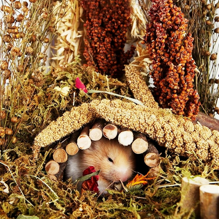 Natural Edible Flowers Herbs Grains Cage Habitat Decor Natural Hamster ...