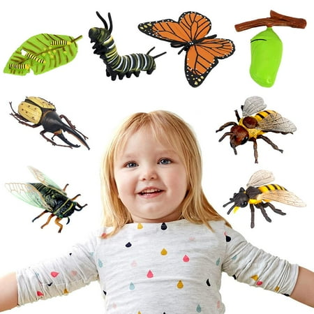 Simulated Insect Model Realistic Insect Model Plastic Insect Insect ...