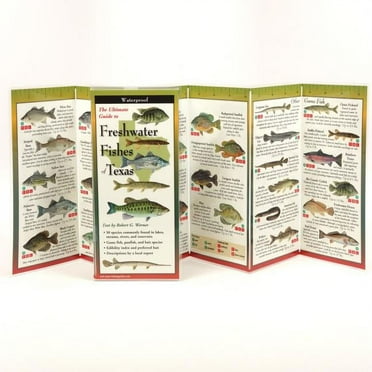 Fish Identification Guides: Saltwater Sport Fish of the Gulf Field ...