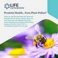 Life Extension Triple Strength ProstaPollen, Prostate Health Support ...