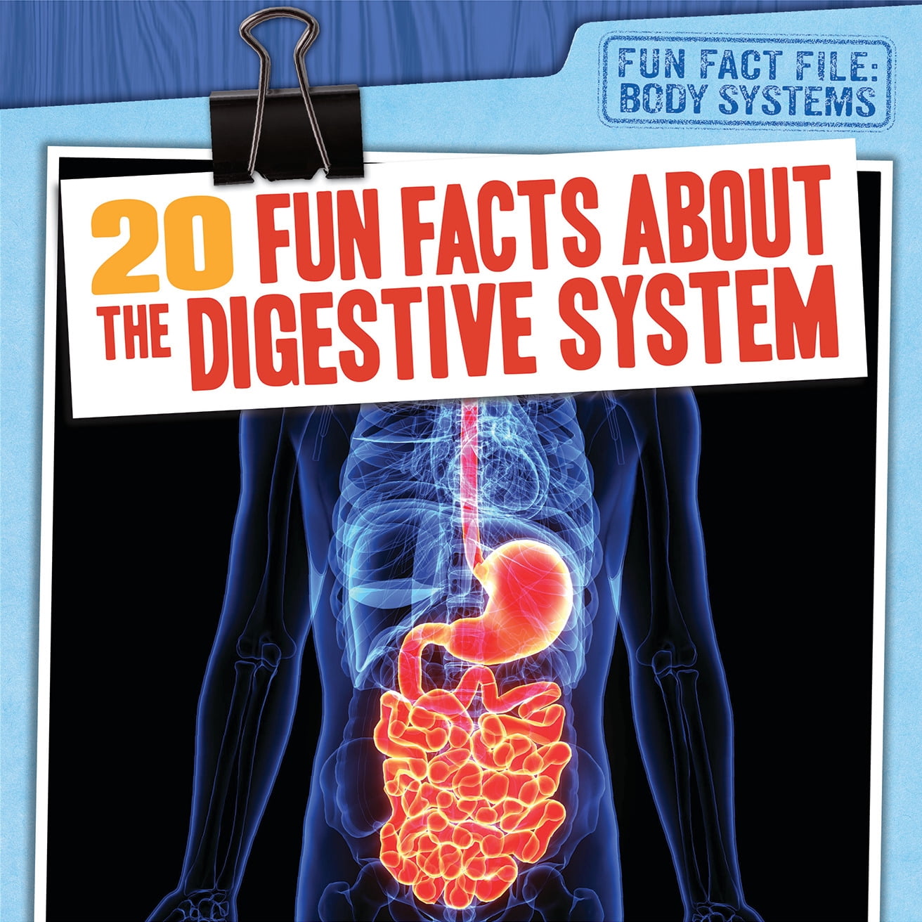 20 Fun Facts About The Digestive System Walmart