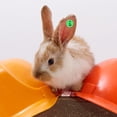 BESTYASH 100Pcs Green Rabbit Ear Tags with Dropresistant Design for ...