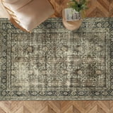 BERTHMEER 4'x6' Washable Area Rugs for Entryway Office indoor ...