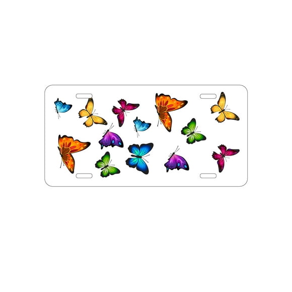 Vanity License Plates Front Car