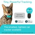 Tabcat V2 Cat & Kitten Tracker - More Accurate Than GPS - No Monthly ...