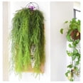 2 Pcs Faux Seaweed Wall Hanging 2pc for Photography Backdrop & Wedding ...