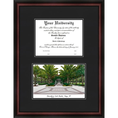 University of South Florida 8.5" x 11" Diplomate Diploma Frame ...